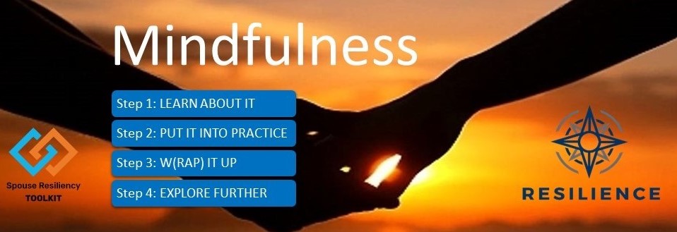 Department of the Air Force Integrated Resilience > Resilience > Spouse ...